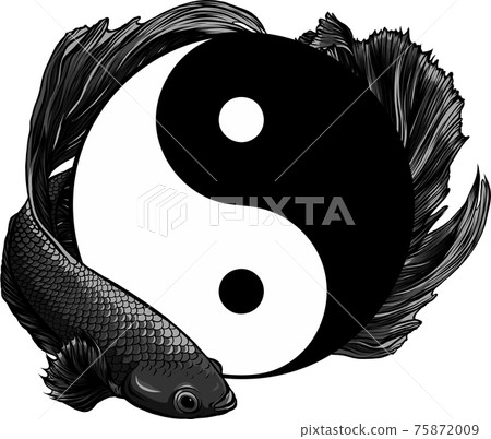 design of Yin Yang betta splendens fish vector... - Stock Illustration ...