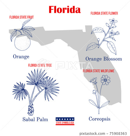 Florida. Set of USA official state symbols - Stock Illustration ...