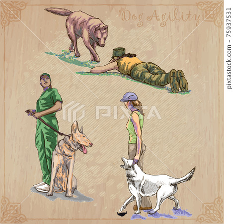 Dog training. Collection. Pack of freehand...-插圖素材 [75937531] - PIXTA圖庫