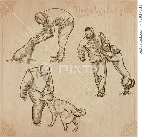 Dog training. Collection. Pack of freehand... - Stock Illustration ...