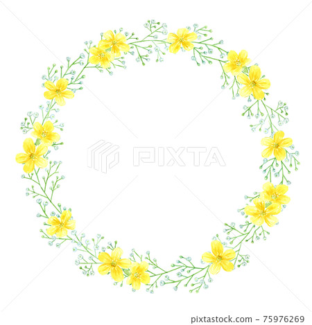 Frame of yellow flowers and gypsophila circle... - Stock Illustration ...