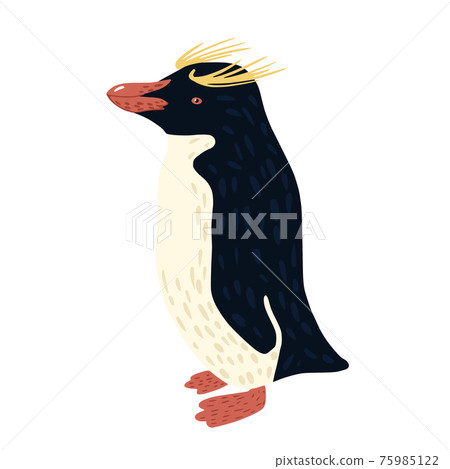Penguin macaroni isolated on white background.... - Stock Illustration ...