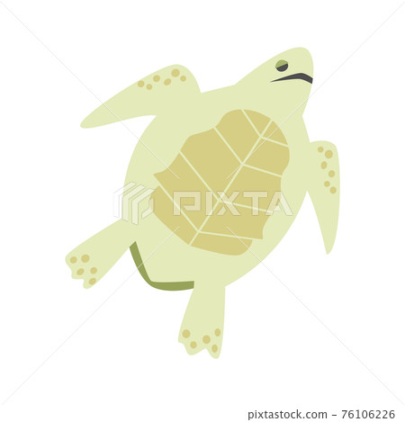 Illustration of sea turtle belly - Stock Illustration [76106226] - PIXTA