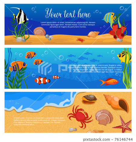 Sea Life Animals Plants Banner Set - Stock Illustration [76146744] - PIXTA