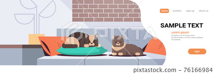 two cats sleeping on pillow fluffy adorable... - Stock Illustration ...