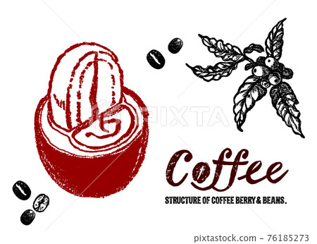 Illustration of coffee cherries and coffee... - Stock Illustration ...