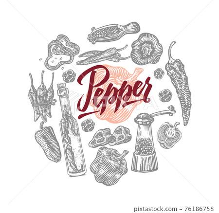 Sketch Food Round Composition - Stock Illustration [76186758] - PIXTA