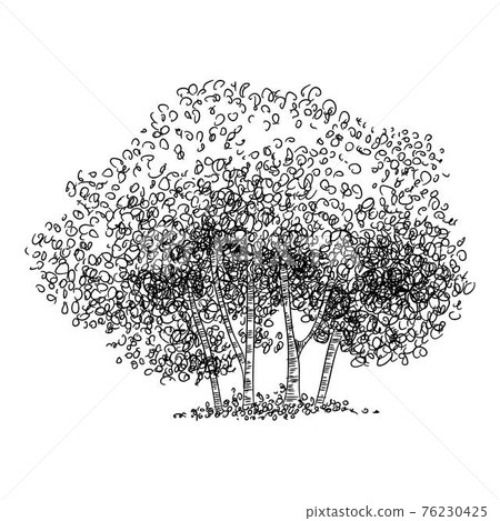 Group of tree icon, hand drawn and outline style - Stock Illustration ...
