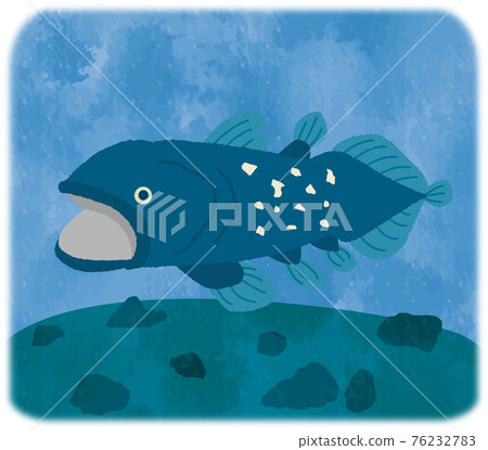 coelacanth - Stock Illustration [76232783] - PIXTA