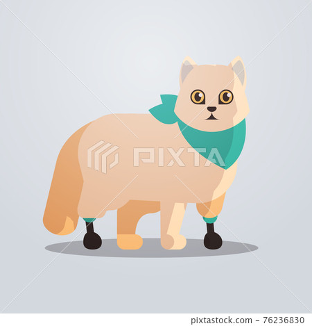 disabled cat with prosthesis fluffy adorable... - Stock Illustration ...