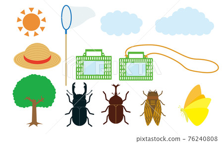 Insect catching insect collecting material... - Stock Illustration ...