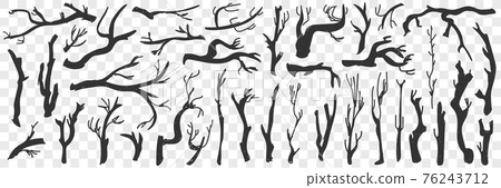 Tree branches pattern doodle set - Stock Illustration [76243712] - PIXTA