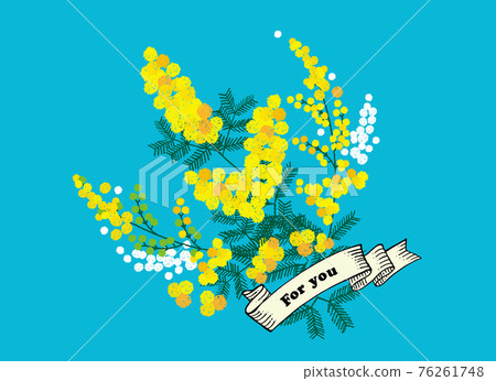 Illustration of a bouquet. Mimosa, fusa acacia... - Stock Illustration ...