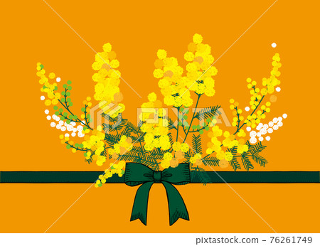 Illustration of a bouquet. Mimosa, fusa acacia... - Stock Illustration ...