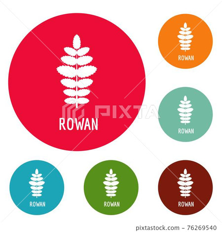 Rowan leaf icons circle set vector-插圖素材 [76269540] - PIXTA圖庫