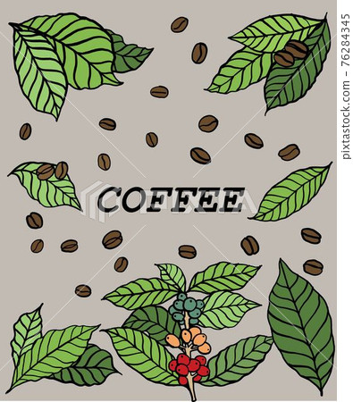 Coffee Bean Tree Drawing