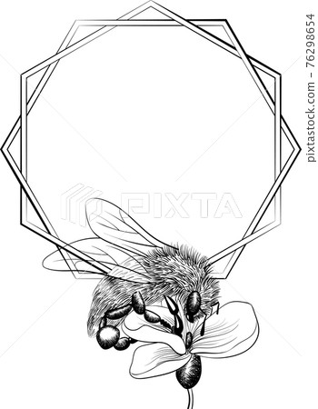 Frame with bee on flower with copy space - Stock Illustration [76298654 ...