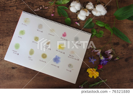 Color play of flowers and leaves - Stock Photo [76321880] - PIXTA