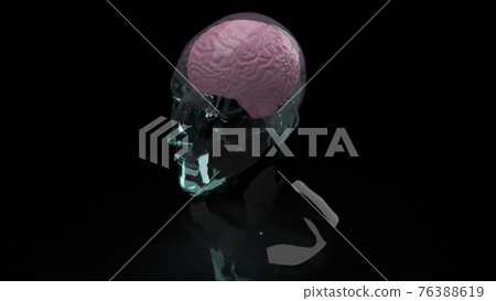 The brain inside crystal head for education or... - Stock Illustration ...