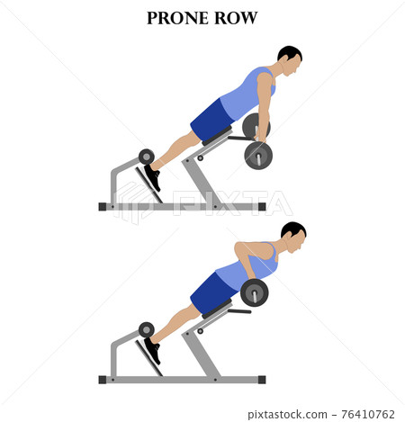 Prone row exercise strength workout vector... - Stock Illustration ...