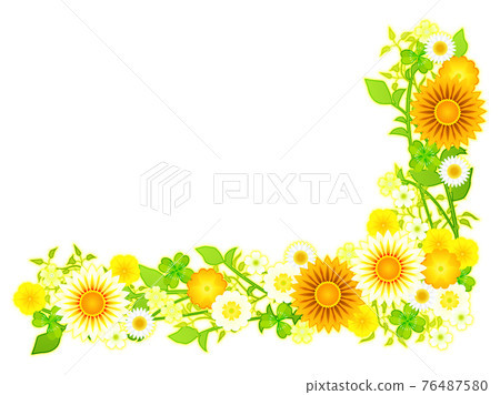 Illustration frame of Gazania and yellow flowers - Stock Illustration ...