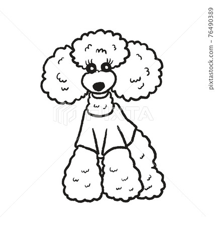 Line drawing illustration of toy poodle - Stock Illustration [76490389 ...