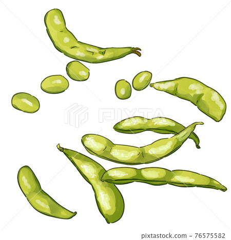 Hand-painted watercolor edamame illustration... - Stock Illustration ...