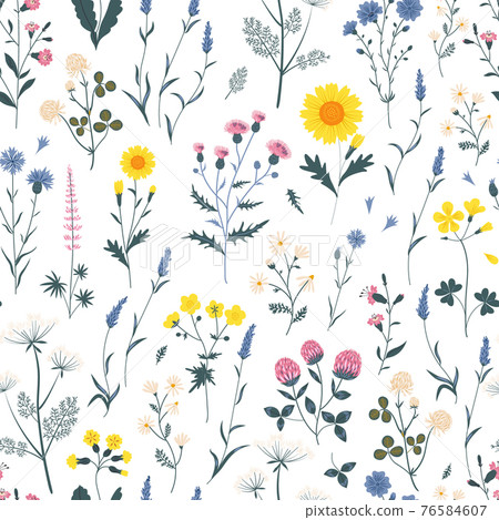 Seamless pattern with meadow flowers - Stock Illustration [76584607 ...