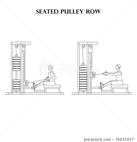 Seated pulley row exercise strength workout... - Stock Illustration ...