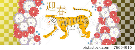 Greeting spring tiger sideways checkered... - Stock Illustration ...