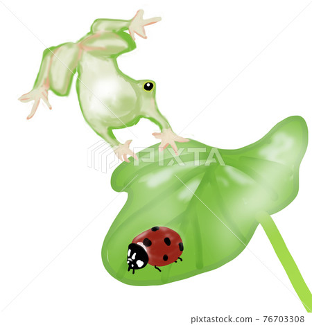 Frog and ladybugs - Stock Illustration [76703308] - PIXTA