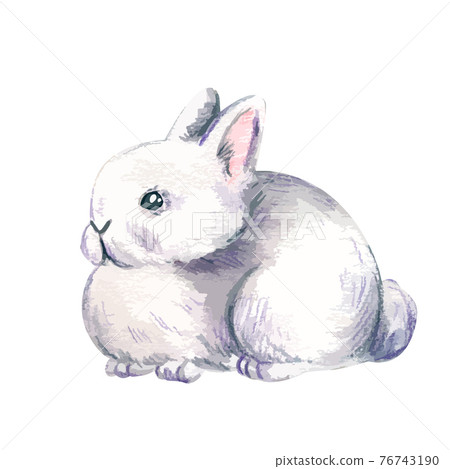 Cute light grey rabbit, hand drawn vector - Stock Illustration ...