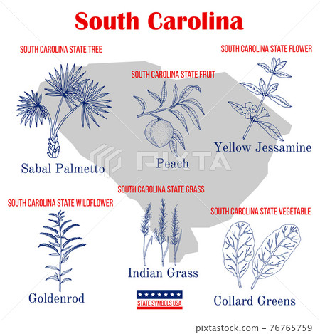 Sc State Symbols South Carolina State Data | Population, Symbols,