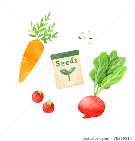 Hand-painted watercolor | Seeds and vegetables... - Stock Illustration ...