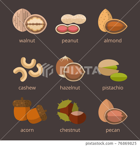 Nuts icon flat set - Stock Illustration [76869825] - PIXTA
