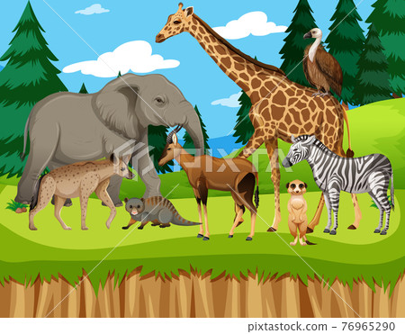 Group of wild african animal in the zoo scene - Stock Illustration ...