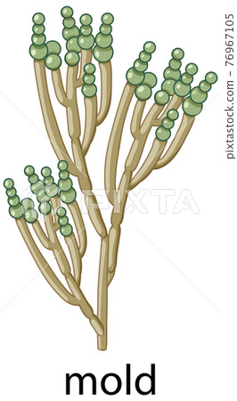 Mold icon in cartoon style isolated on white... - Stock Illustration ...