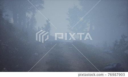 foreat at hight with bright moon light - Stock Illustration [76987903 ...