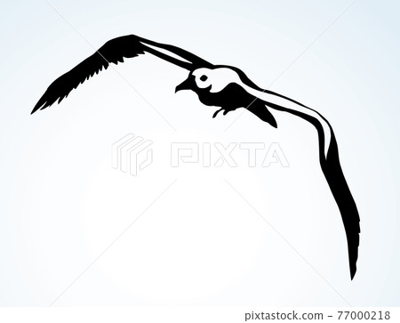 Seagull in flight. Vector drawing - Stock Illustration [77000218] - PIXTA