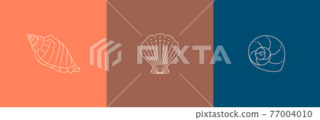 Set of Seashells Icons in a Trendy Minimal...-插圖素材 [77004010] - PIXTA圖庫