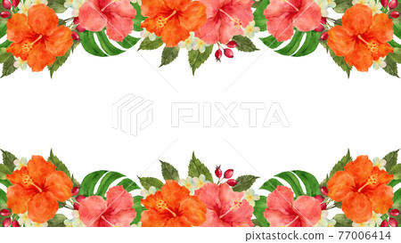 Hibiscus flower frame - Stock Illustration [77006414] - PIXTA
