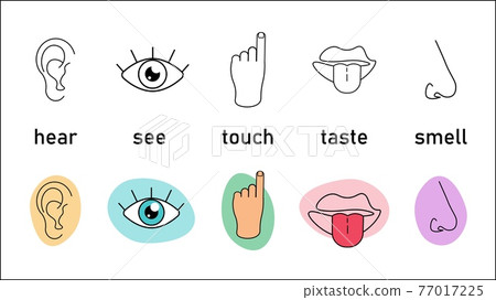 Five human sense organ isolated set on white - Stock Illustration ...