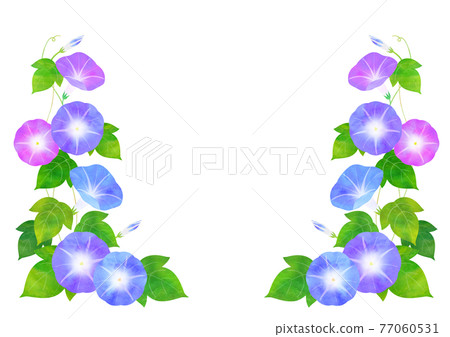 Asagao's frame - Stock Illustration [77060531] - PIXTA