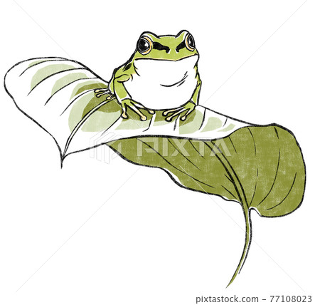 japanese tree frog, hyla japonica, treefrog - Stock Illustration ...