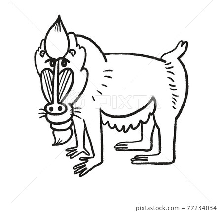 Mandrill line drawing illustration - Stock Illustration [77234034] - PIXTA