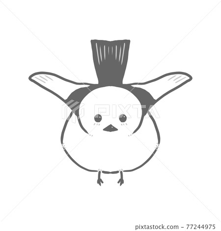 Shimaenaga - Stock Illustration [77244975] - PIXTA