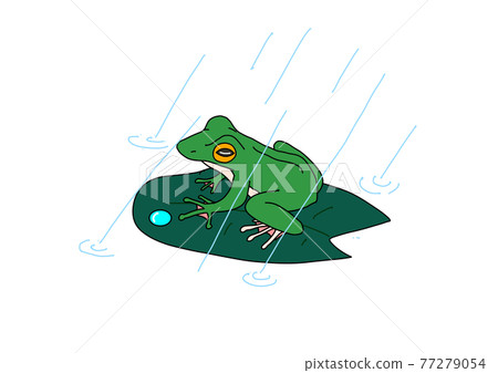 Frog in the rain - Stock Illustration [77279054] - PIXTA