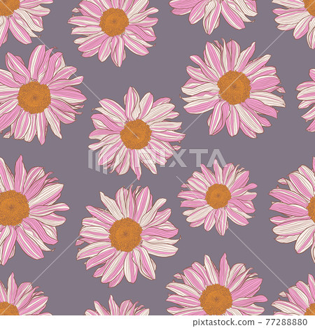 Seamless pattern of white and pink daisies with... - Stock Illustration ...