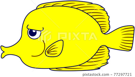 Illustration of yellow tang - Stock Illustration [77297721] - PIXTA