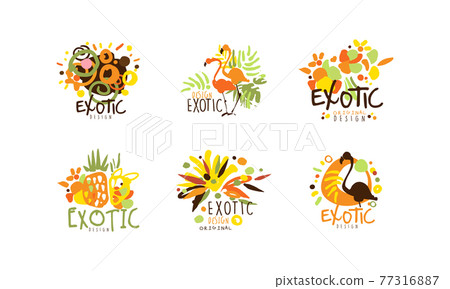 Exotic Logo Original Design Collection, Summer... - Stock Illustration ...